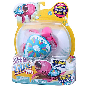 Little Live Pets Turtle - Sunshine