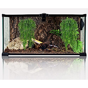 HERCOCCI 2 Pack Reptile Plants, Terrarium Hanging Plants Vines Artificial Leaves Habitat Decorations with Suction Cup for Bearded Dragon Hermit Crab Lizard Snake Geckos Chameleon