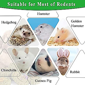 FIPASEN Rabbit Chew Toys for Teeth, 18PCS Natural Timothy Hay Chew Toy, Improve Dental Health for Bunny/ Chinchilla/ Guinea Pig/ Hamsters/ Holland Lop, Small Rodent Pet Molar Teeth Treats Toys