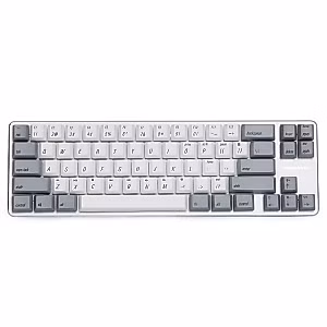 Qisan Holiday Sale 10% Discount off Mechanical Keyboard Gaming Keyboard Kailh Blue Switch Wired Backlit PBT Keycaps Mini Design (60%) 68 Keys Keyboard Magicforce (White Gray Combo)