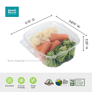 GoodGuard® Pack of 260-16 oz. Multi-Purpose Clamshell Tamper Evident Food Packaging, Crystal Clear - Food Storage Container with Lids