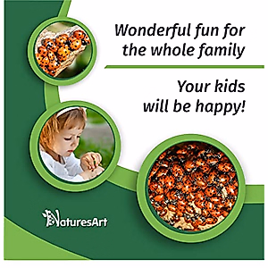 NaturesArt 3000 Live Ladybugs - Good Bugs for Garden - Ladybug - Guaranteed Live Delivery!
