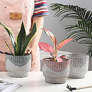 POTEY Cement Planter Pots for Plants 056603 5.5 Inch Concrete Planter Indoor Planter with Drainage Hole for Bonsai Plants Flower Aloe Indoor Home Decor(Plants Not Included)