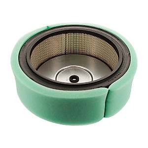 Miller 198755 Air Filter,Robin (Eh64/65) Onan (Ohv220)