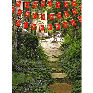 FWIW 2 Pack USA Marine Corps Banner String Small Mini American Military Pennant Flags July 4th Veteran Party Memorial Day Party Outdoor Yard Decorations