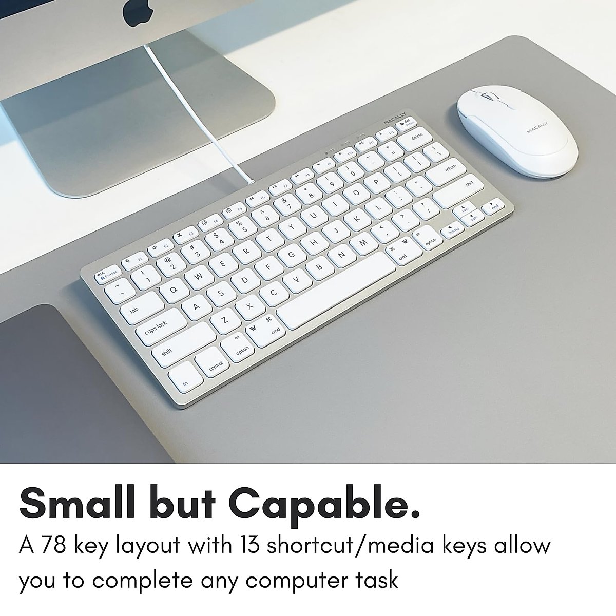 Macally Small USB C Keyboard - Plug & Play Compatible Wired Apple Keyboard for Mac Mini, MacBook Pro/Air, iMac, iPad, Windows, Chromebook with USBC Port - Compact & Mini USB Type C Keyboard - Silver