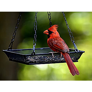 Hanging Bird Feeder Tray Platform Metal Mesh Seed Tray for Bird Feeding Outdoor Garden Decoration for Wild Backyard Attracting Birds