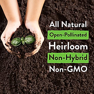 55 Heirloom Vegetable Seeds | 27,500+ Non GMO Garden Seed Variety Pack | Gardening Seeds for Planting Vegetables and Fruits, & Lettuce | Prepper Supplies | Survival Gear | Spring, Summer, Fall