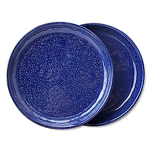 roro 7-Inch Ceramic Appetizer Plates - Handcrafted Stoneware with Unique Glossy Reactive Blue Bubble Finish, Ideal for Serving & Plating Gourmet Dishes, Durable & Elegant Design, Set of 2