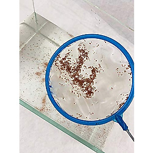 GankPike Aquarium Fish Net Skimmer Net – 3 Pcs Quick Catch Mesh Wire Net Safe for All Fish – 3 Inches, 4 Inches, 5 Inches