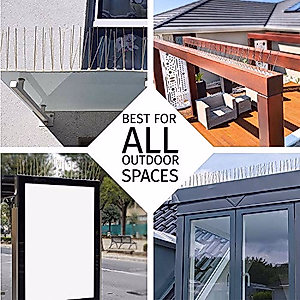 Aspectek Stainless Steel Pre-Assembled Bird Spikes 10 Feet (3 Meters), Bird Deterrent Kit with Transparent Silicone Glue