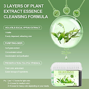 Refrigerator Deodorizer Can Be Used for over 2 Months More Effective Fridge Deodorizer than Baking Soda Bamboo Charcoal Suitable for Refrigerators Shoe Cabinets (Green tea flavor)