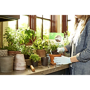 Miracle-Gro Indoor Potting Mix 6 qt., Grows beautiful Houseplants