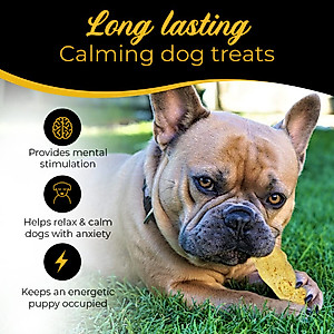 Cheesy100 Cheese Dog Chews| US-Crafted for Puppies & Dogs |6oz (3 pcs)| Softer Natural Alternative to Himalayan Dog Chews & Yak Chews| Salt & Rawhide-Free| Tastier Than Yak Cheese Himalayan Dog Chews