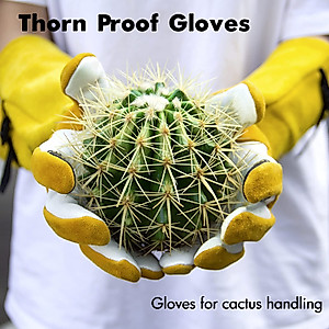 FEISHDEK Garden Gloves Women/Men Thorn Proof, Deerskin Suede, 2 Layers Leather Rose Pruning Long Gardening Gloves for Cactus Handling (Medium - Long Sleeve, Yellow)