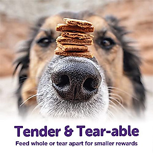 Wellness Rewarding Life Grain-Free Soft Dog Treats (Previously Wellbites), Made in USA with Natural Ingredients, Ideal for Training (Lamb & Salmon, 6-Ounce Bag)