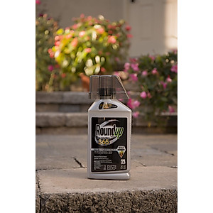 Roundup Concentrate Max Control 365 Vegetation Killer, 32 oz.