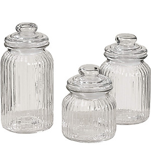 WHW Whole House Worlds Iconic Ribbed and Knob Topped Clear Glass Kitchen Storage Jars, Set of 3, Air Tight Seals, 9, 7 1/2, and 6 Inches Tall