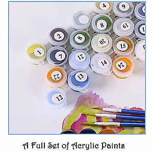 Paint by Numbers for Adults & Kids Easy for Beginner Ages 8-12 Flowers DIY Acrylic Paint Oil Painting on Canvas Drawing Paintwork Paintbrushes Art Crafts Wall Art Decorations 16"x20" Frameless