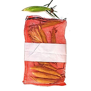 Garden Trends Banded 18" x 30" Mesh Bags - Produce, Harvest, and Firewood Bags (100)