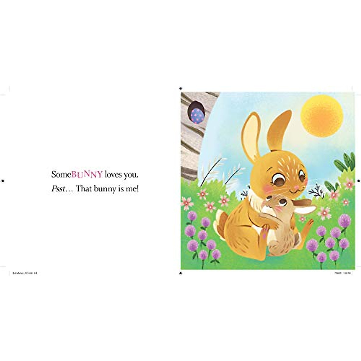 Somebunny Loves You: A Sweet and Silly Baby Animal Book for Toddlers (Punderland)