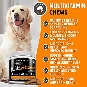 Dog Multivitamin Chewable Treats - Pet Vitamins and Supplement, 10-in-1 Multivitamin for Dogs, Supports Joints, Hip, Bowel, Muscle Health, with Glucosamine and Omega Fish Oil (120 Chews)
