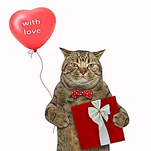 Tinideya 12 Pieces Cat Snacks Candy Ball Cat Licking Sugar Energy Ball Edible Catnip Balls Toy Kitten Sweet Ball Solid Candy for Cat Kitten (Green, Blue)