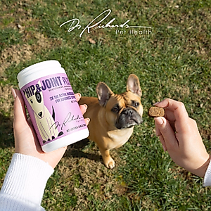 Dr. Richard's Hip & Joint Plus for Dogs - Soft Chew Supplement with Natural Perna Mussel, Glucosamine, Chondroitin, MSM. Supports Hip & Joints, Improves Nutrient Absorption, Vitamin C Antioxidants