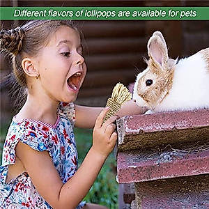 RUNANIA 20 Pcs Rabbit Chew Toys for Teeth, Natural Wood Sticks Timothy Chew Toys for Rabbit Bunny Guinea Pig Hamster Chinchilla