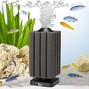 AQQA Aquarium Sponge Filter Submersible Small Fish Tank Filter 20 Gallon Ultra Quiet Air Powered Corner Sponge Filter Aeration Betta Filter for Freshwater & Marine Tank(Small for 5-30 Gallon)