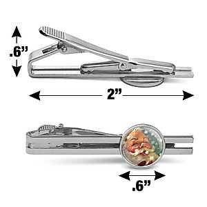 GRAPHICS & MORE Christmas Holiday Santa Claus Tasting Snowflakes Round Tie Bar Clip Clasp Tack Silver Color Plated