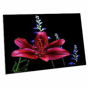 3dRose Red Day Lilly with Purple Blooms - Desk Pad Place Mats (dpd-336452-1)