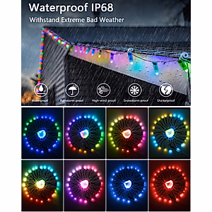 ALITOVE WS2811 12V LED Pixels 12mm 8 inch Spacing 50 LEDs Addressable RGB LED Bullet String Lights Diffused Digital Dream Color Programmable Module Lights Waterproof IP68 with 3pin ALT-Connector