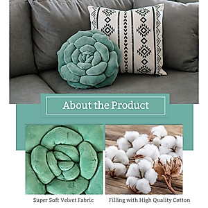 Audacious Hippo Succulent Pillow | Plant Room Decor | Double Stuffed Leaf Pillow for Couch Sofa Plush Outside Cotton Filling | Hand Stitched Flower Decorative Throw Pillows