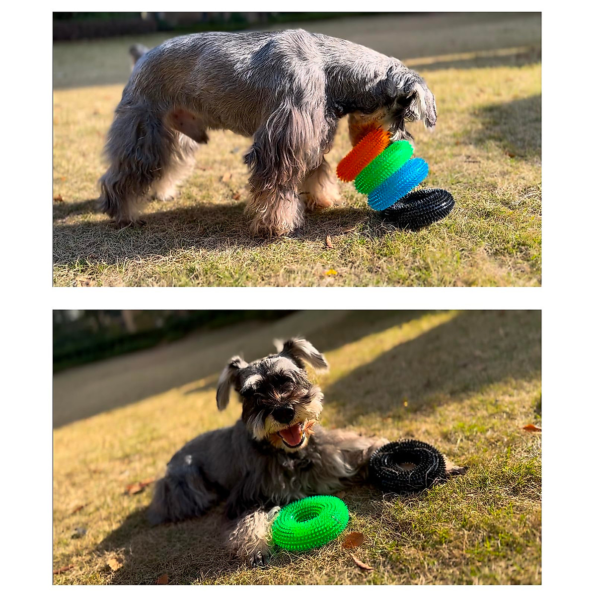 ADUCK Dog Squeaky Chew Toys for Aggressive Chewers Dental Teething Cleaning (Non-Toxic Soft Natural Rubber), Cute Crystal Ring Design -4.92 inches (Crystal Blue)