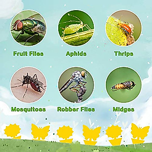 Foofol 18PCS Fruit Fly Sticky Traps Fungus Gnat Traps Insect Trap for Plants Kitchen Indoor Outdoor White Flies Mosquitos Fungus Gnats Flying Insects Houseplant Gift.