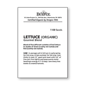 Burpee Gourmet Blend Lettuce Seeds 1100 seeds