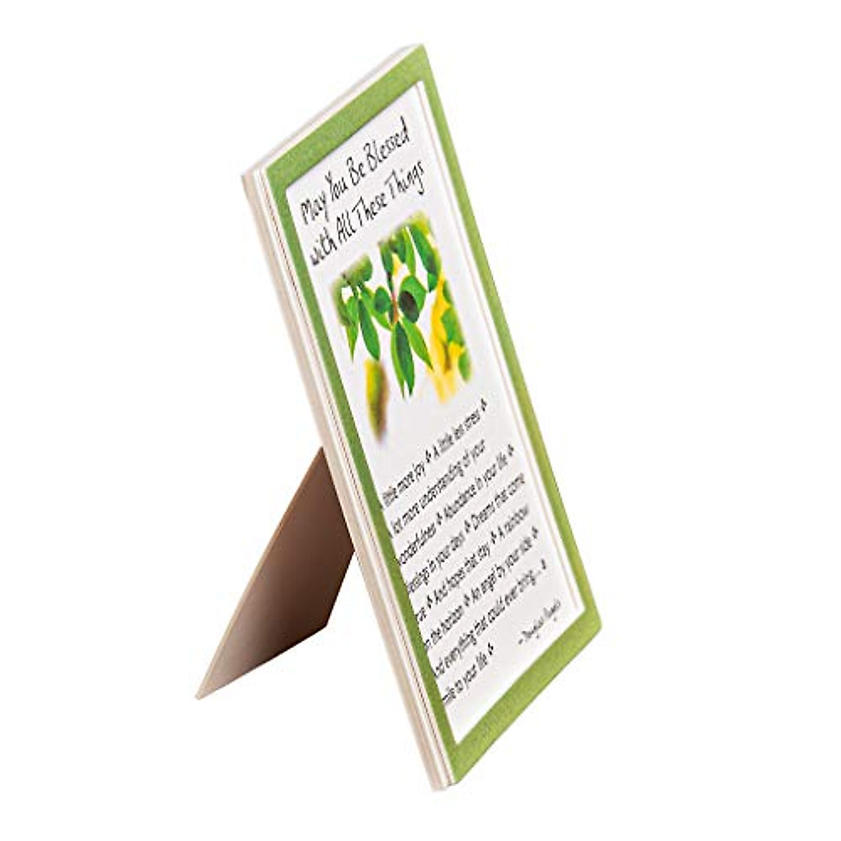 Blue Mountain Arts Encouragement Magnet with Easel Back—Birthday, Wishing You Well, or Just Because Gift by Douglas Pagels, 4.9 x 3.6 Inches (May You Be Blessed with All These Things)