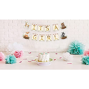 Woodland Animal Creatures ITS A GIRL Banner for Baby Shower Decoration Deer, Fox, Raccoon and Bear / Wild One, Boho Themed Party Supplies