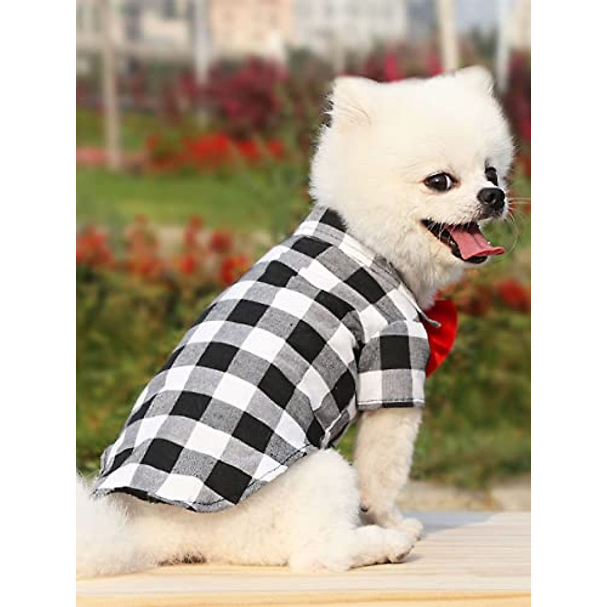 Milumia Pet Outfits Plaid Dog Shirt for Small Medium Dogs Bow Button Up Shirts Cat Clothes Black and White Small