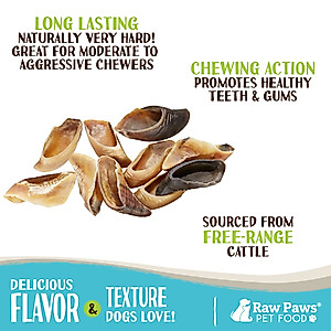 Raw Paws Cow Hooves for Dogs, 10-Pack - All-Natural Beef Hooves Made from Free-Range, Grass-Fed Cattle - Safe Rawhide Alternative - Dog Cow Hooves XL - Long-Lasting Cow Hoof Dog Chews