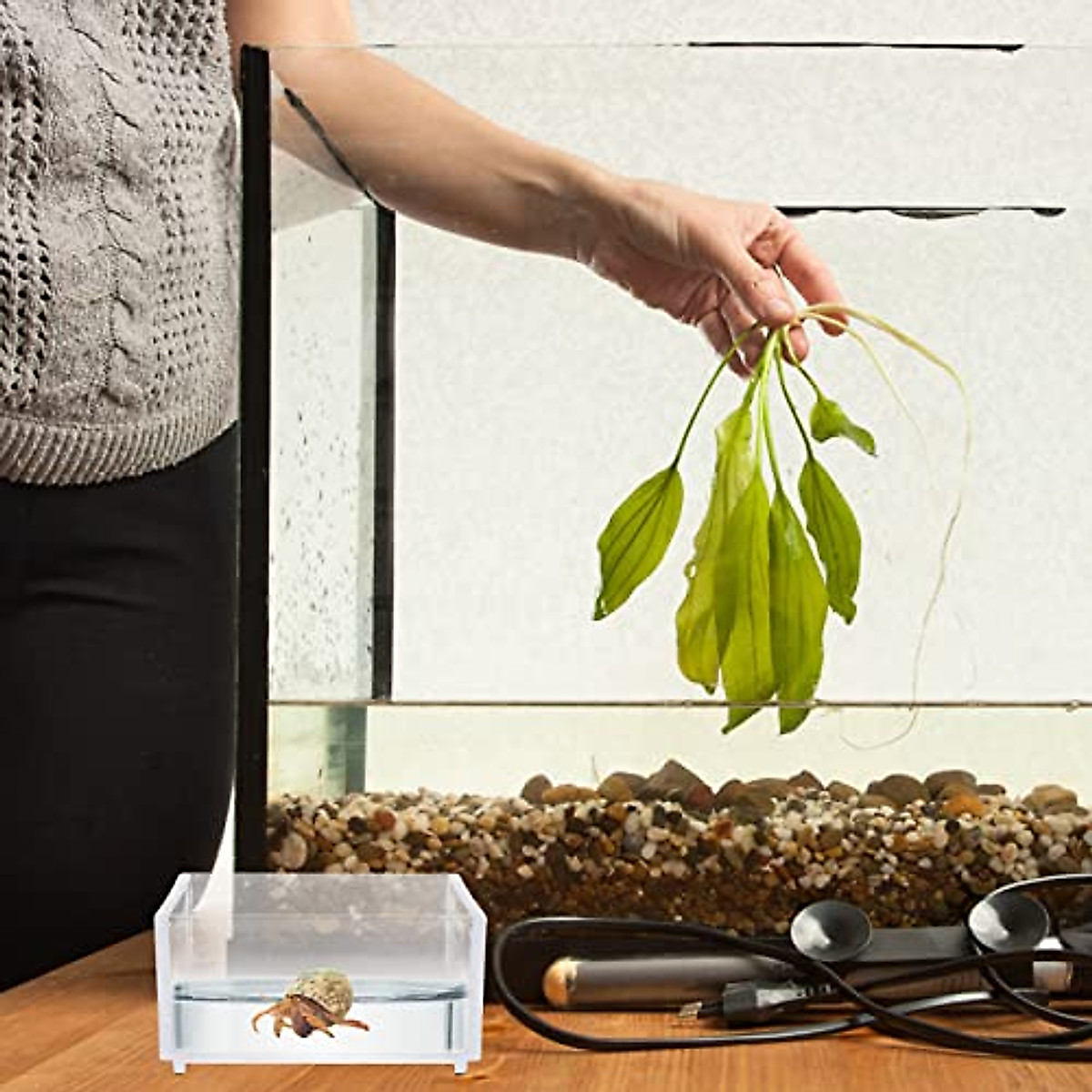 balacoo 2pcs Acrylic Reptile Terrarium Reptile Aquarium Breeding Tank Transparent Reptile Feeding Box Bathing Pool for Frogs Hermit Crabs Lizards Tank