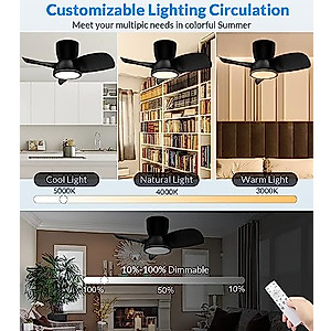 Ceiling Fan with Lights and Remote,30” Flush Mount Ceiling Fans Large Air Volume,4 Speeds,Reversible,Timer,Dimmable LED Lights,Super Quiet Low Profile Ceiling Fan with light for Bedroom Kitchen Patio.
