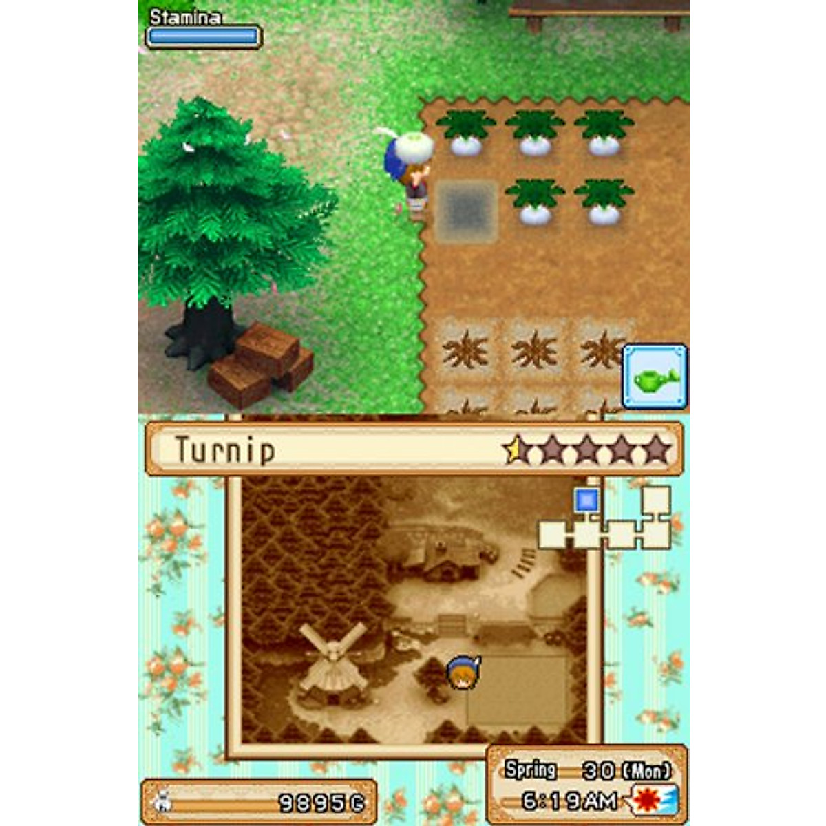 Harvest Moon: Grand Bazaar - Nintendo DS