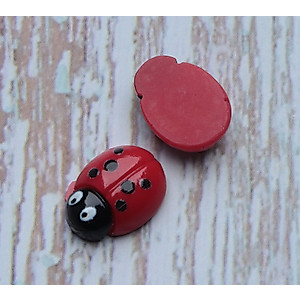 Sowaka 20 Pcs Ladybug Ornaments Tiny Resin Flatback Embellishment Fake Ladybird Decor for Hair Clip DIY Craft Art Project Home Garden Decoration Supplies Jewelry Making Scrapbooking (Small - Ladybug)