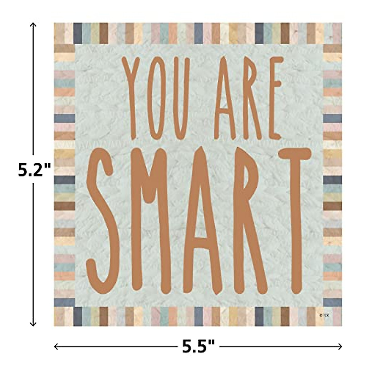 Teacher Created Resources Everyone is Welcome Positive Affirmations Accents, Pack of 30