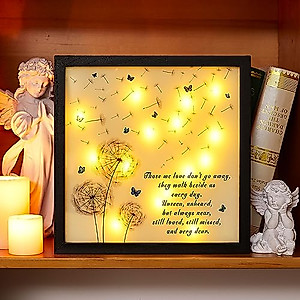 WOODEXPE Sympathy Gift LED Memorial Shadow Box 11x11 Memorial Gifts for Loss of Loved One (Dandelion Black)