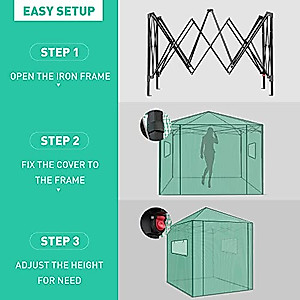 PexFix 6'x 5' Portable Walk-in Greenhouse Easy Setup,Indoor Outdoor Greenhouse Garden Green Houses Instant Pop-up Greenhouse,2 Roll-Up Mesh Windows and Roll-up Zipper Door,Green