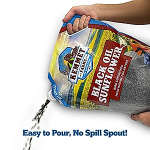 KEMMET FARMS, Premium Bird Food, Black Oil Sunflower Seeds for Birds, Easy No Spill Pour Spout W/Screwable Cap for Storage, 10 lb Bag