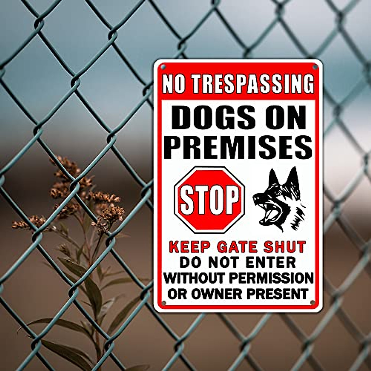 Funny Beware Of Dog Sign Warning Do Not Enter Metal Signs No Trespassing Dogs On Premises Tin Signs Dog In Yard Stop Keep Gate Closed Sign For Fence Door Outdoor Decorations 8x12 Inch